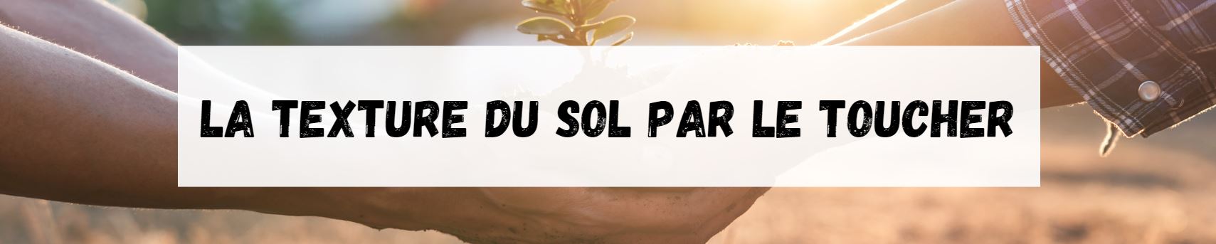 La texture du sol par le toucher