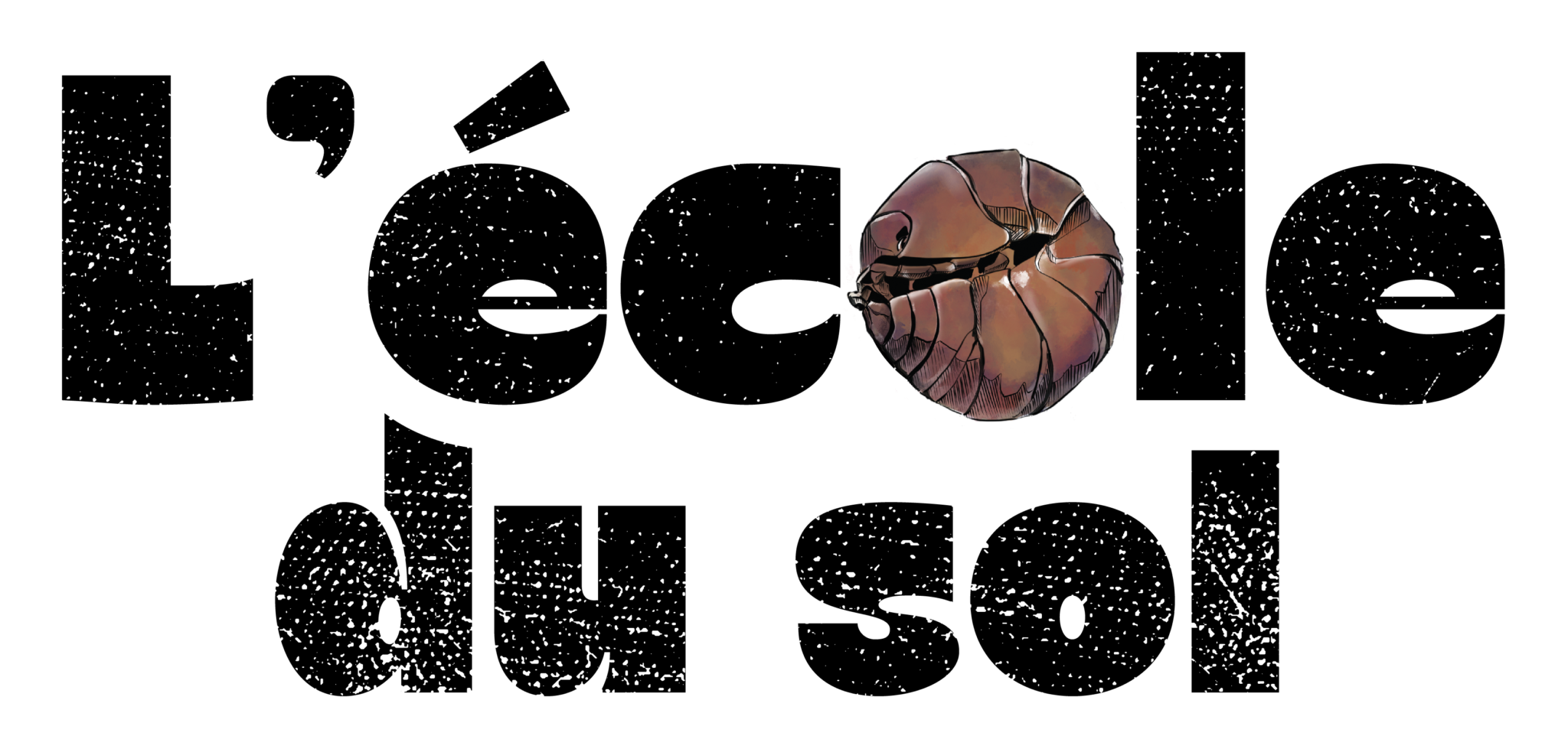 Accueil Activités Permutateur de Menu